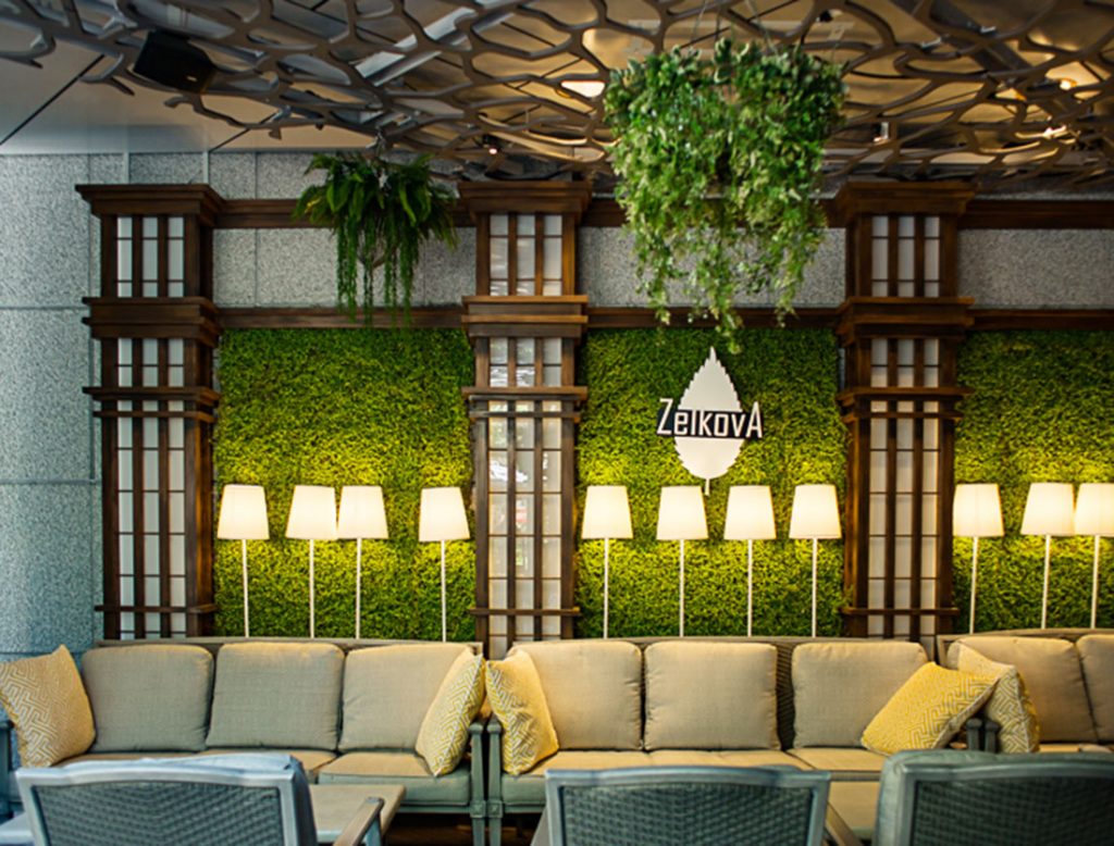 Cafe & Dining ZelkovA | Hanako Web