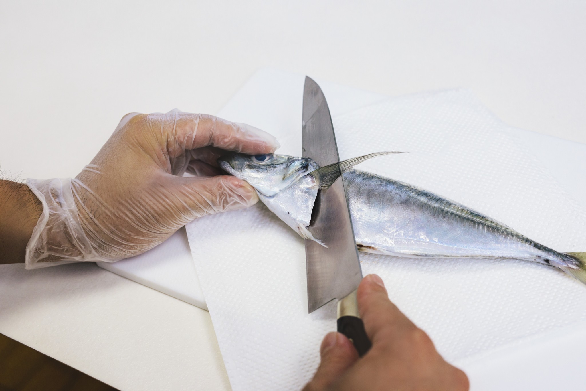 今さら聞けない…魚の捌き方！いろんな魚に応用できる簡単「大名おろし」を伝授。 | Hanako Web