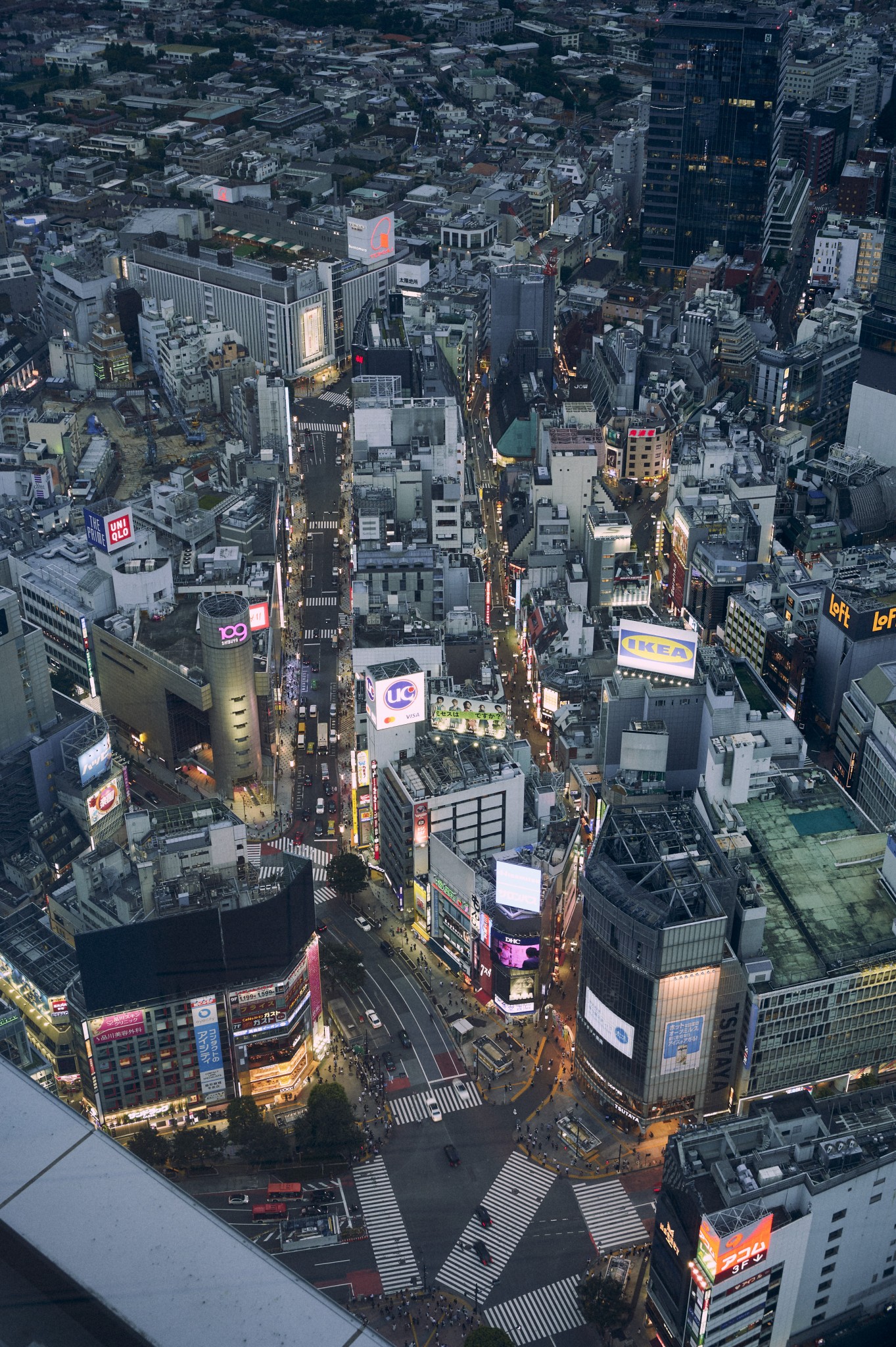 【渋谷】期間限定ルーフトップバーが登場！東京を見渡す〈THE ROOF SHIBUYA SKY〉で開放感を味わおう。 | Hanako Web