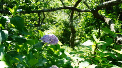 Hanako.tokyo – ページ 5 – 東京の最旬情報のほか、誌面掲載店の検索やオリジナル記事などを毎日更新。