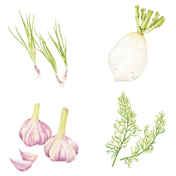 Learn | Page 6 | Hanako Web